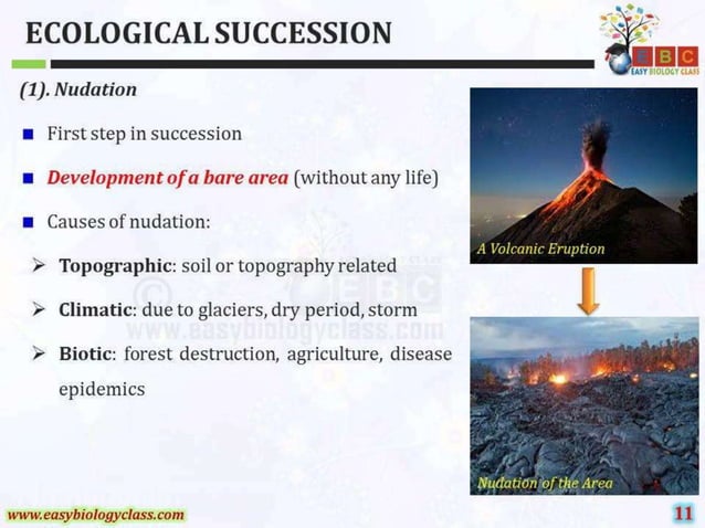 Process of-ecological-succession | PPTX