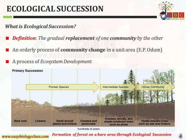Process of-ecological-succession | PPT