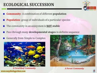 Process of-ecological-succession | PPT