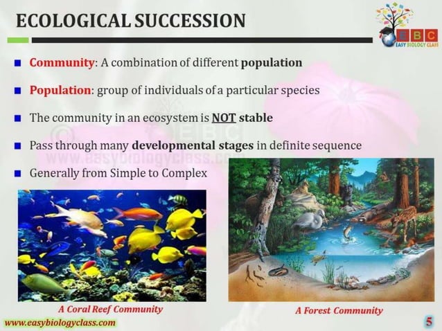 Process of-ecological-succession | PPT