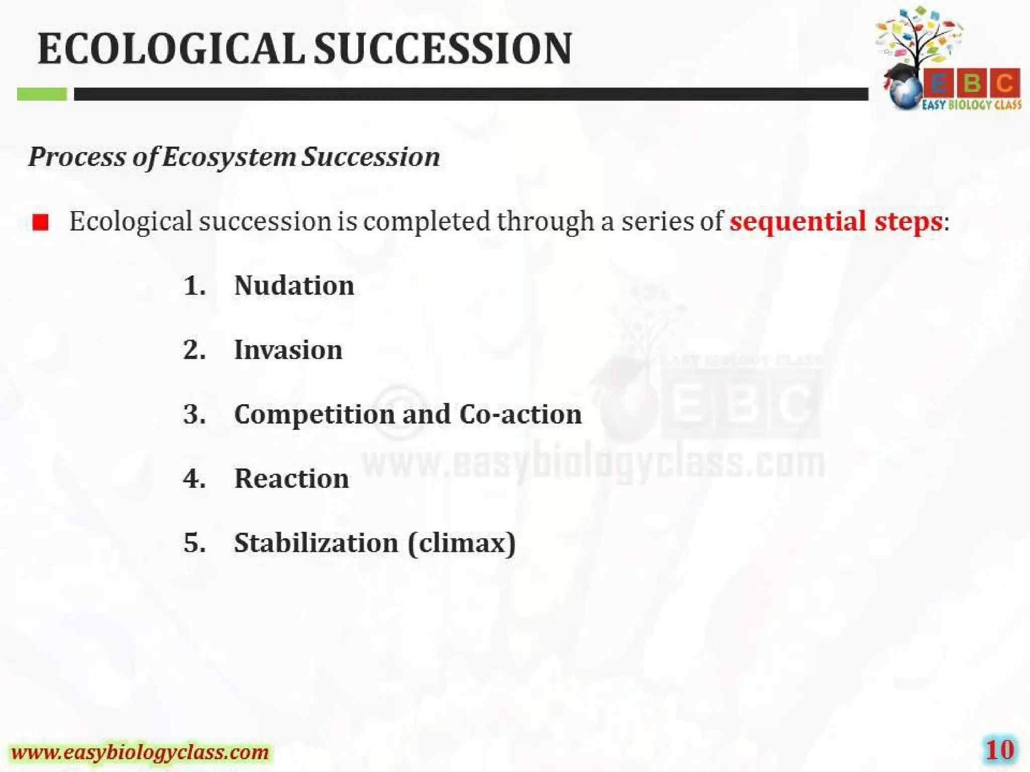 Process-of-Ecological-Succession---.pptx