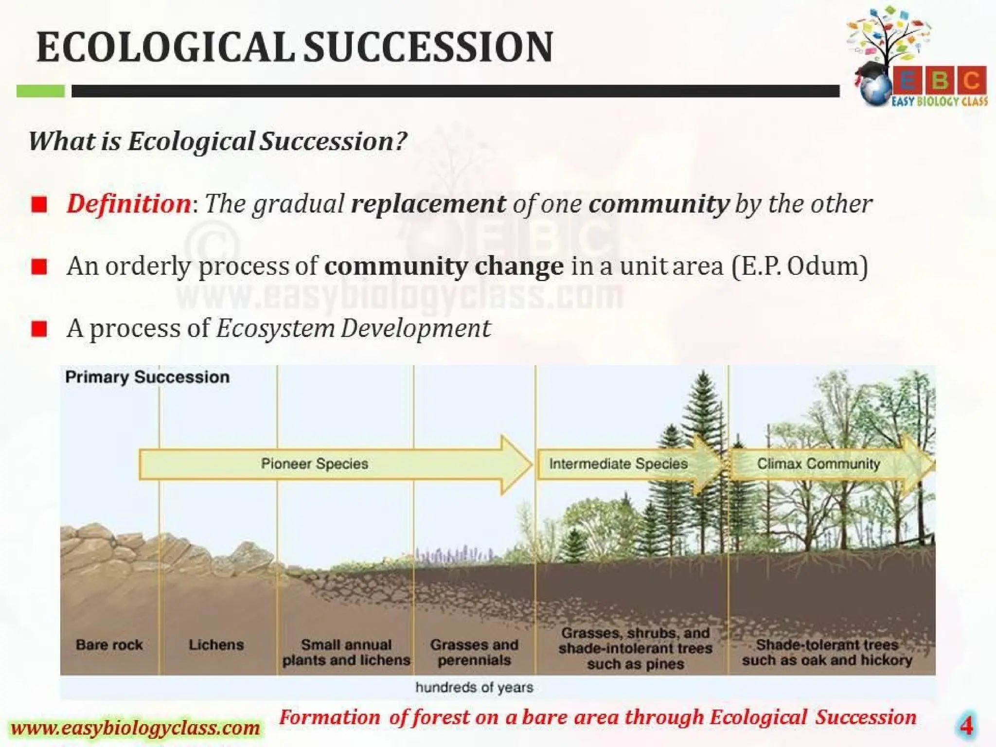 Process-of-Ecological-Succession---.pptx