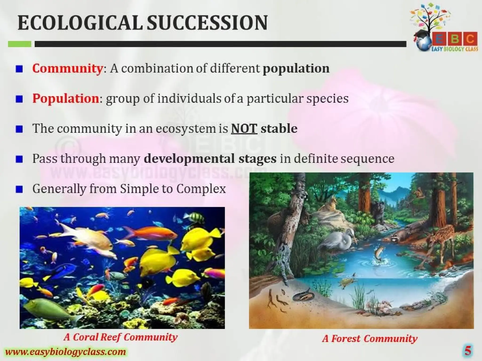 Process-of-Ecological-Succession---.pptx