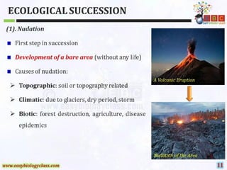Process-of-Ecological-Succession---.pptx