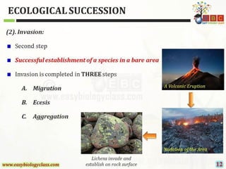 Process-of-Ecological-Succession---.pptx