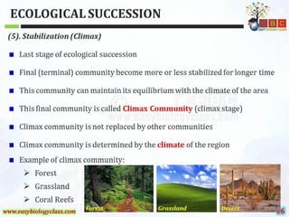 Process-of-Ecological-Succession---.pptx