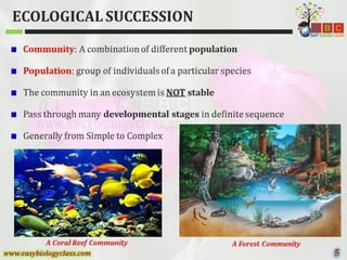 Process-of-Ecological-Succession---.pptx