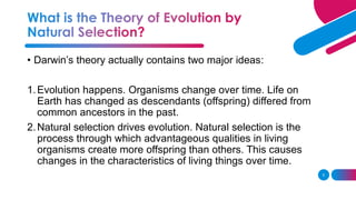 PROCESS-OF-EVOLUTION_01242023.pdf
