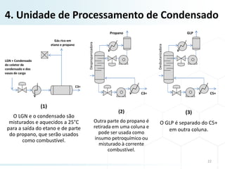 Processamento de gas natural | PDF