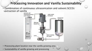 Process and product innovation of natural vanilla flavour based drink ...