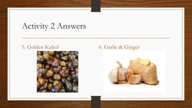 PROCESS CONCOCTIONS.pptx