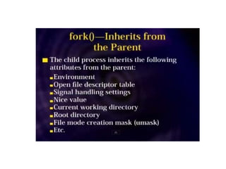 Process creation and termination In Operating System | PPTX