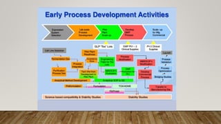 Process development | PPTX