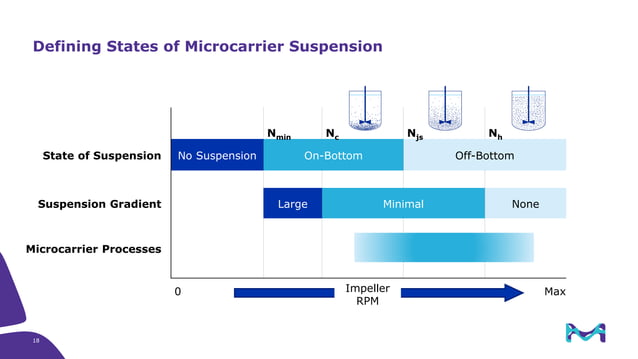 Investing in Process Development for Increased MSC Production in ...