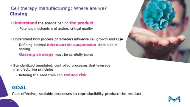 Investing in Process Development for Increased MSC Production in ...