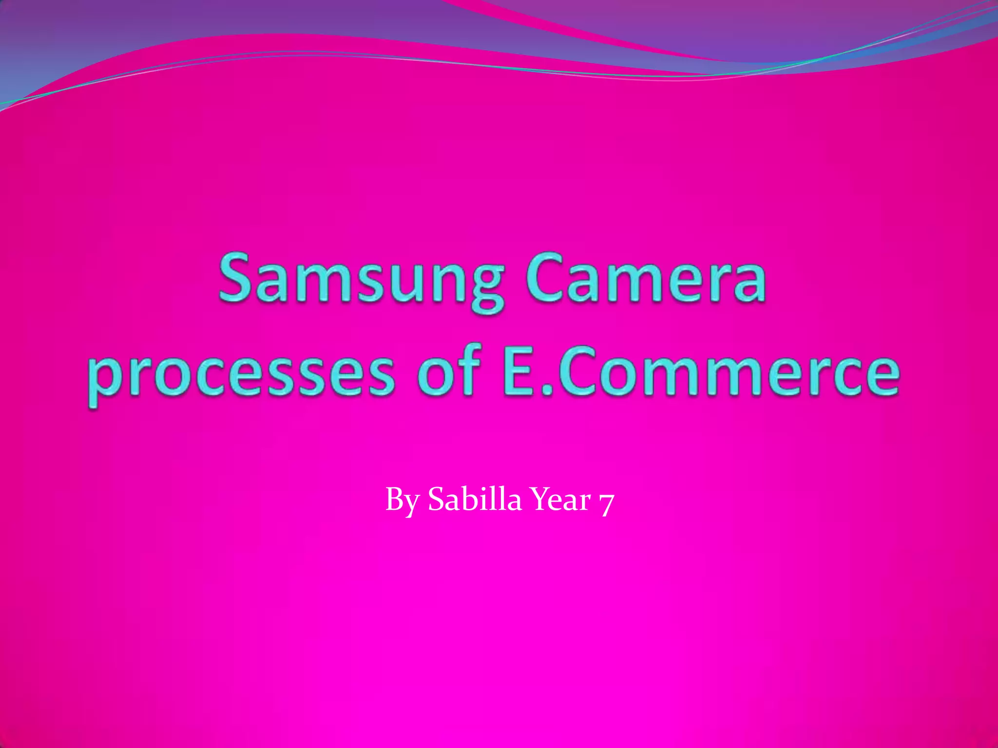 Process e.commerce | PPTX