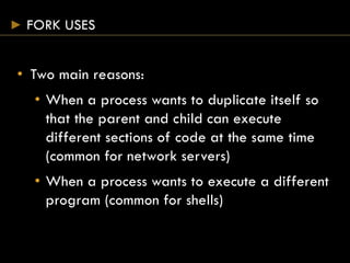 Systems Programming Assignment Help - Processes | PPT