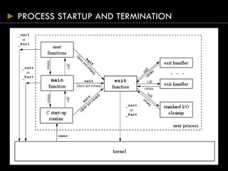 Systems Programming Assignment Help - Processes | PPT