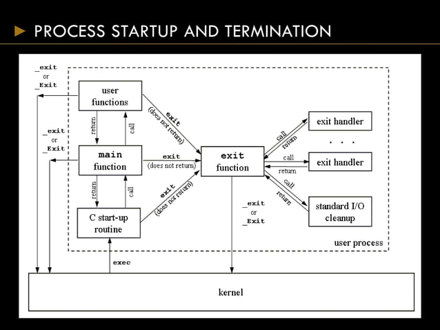 Systems Programming Assignment Help - Processes | PPT