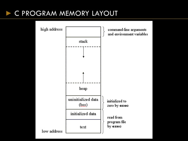 Systems Programming Assignment Help - Processes | PPT