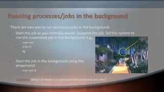 Processes | PPT