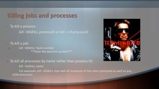 Processes | PPT