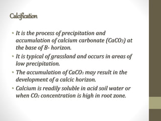 Processes involved in soil formation | PPTX