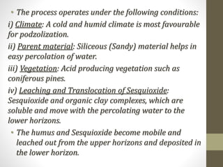 Processes involved in soil formation | PPTX