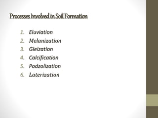Processes involved in soil formation | PPTX