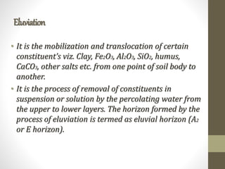 Processes involved in soil formation | PPTX