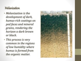 Processes involved in soil formation | PPTX
