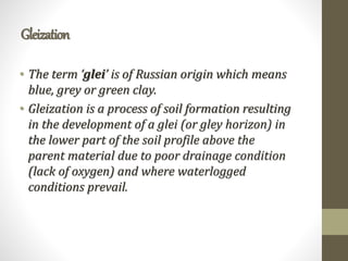 Processes involved in soil formation | PPTX