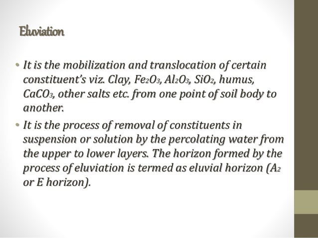 Processes involved in soil formation