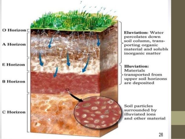 Processes involved in soil formation