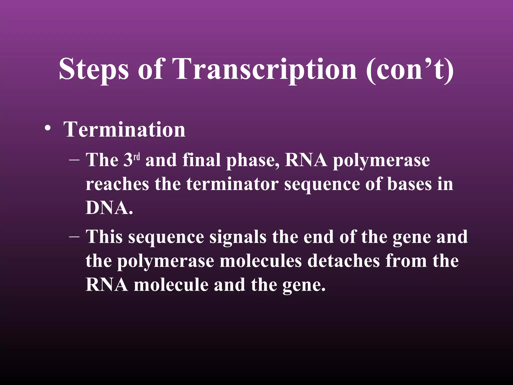 DNA Replication and Protein Synthesis | PPT