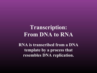 DNA Replication and Protein Synthesis | PPT