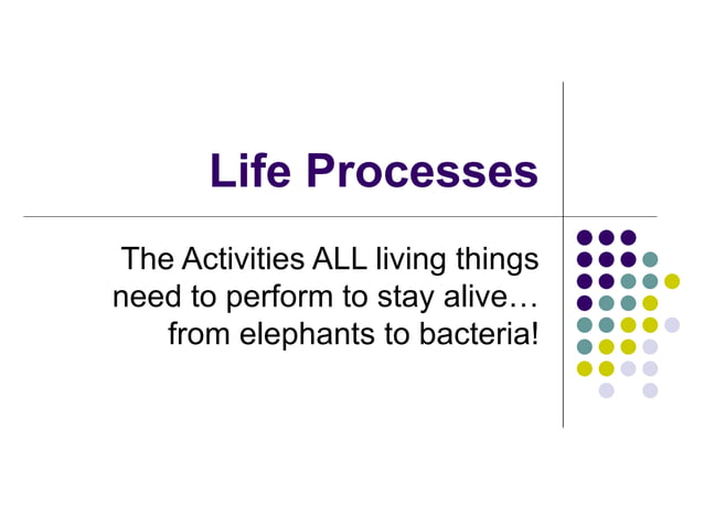 Processes Of Life | PPT