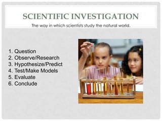 Processes of science gr 6 | PPTX