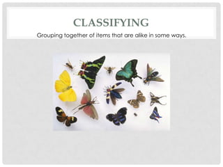 Processes of science gr 6 | PPTX