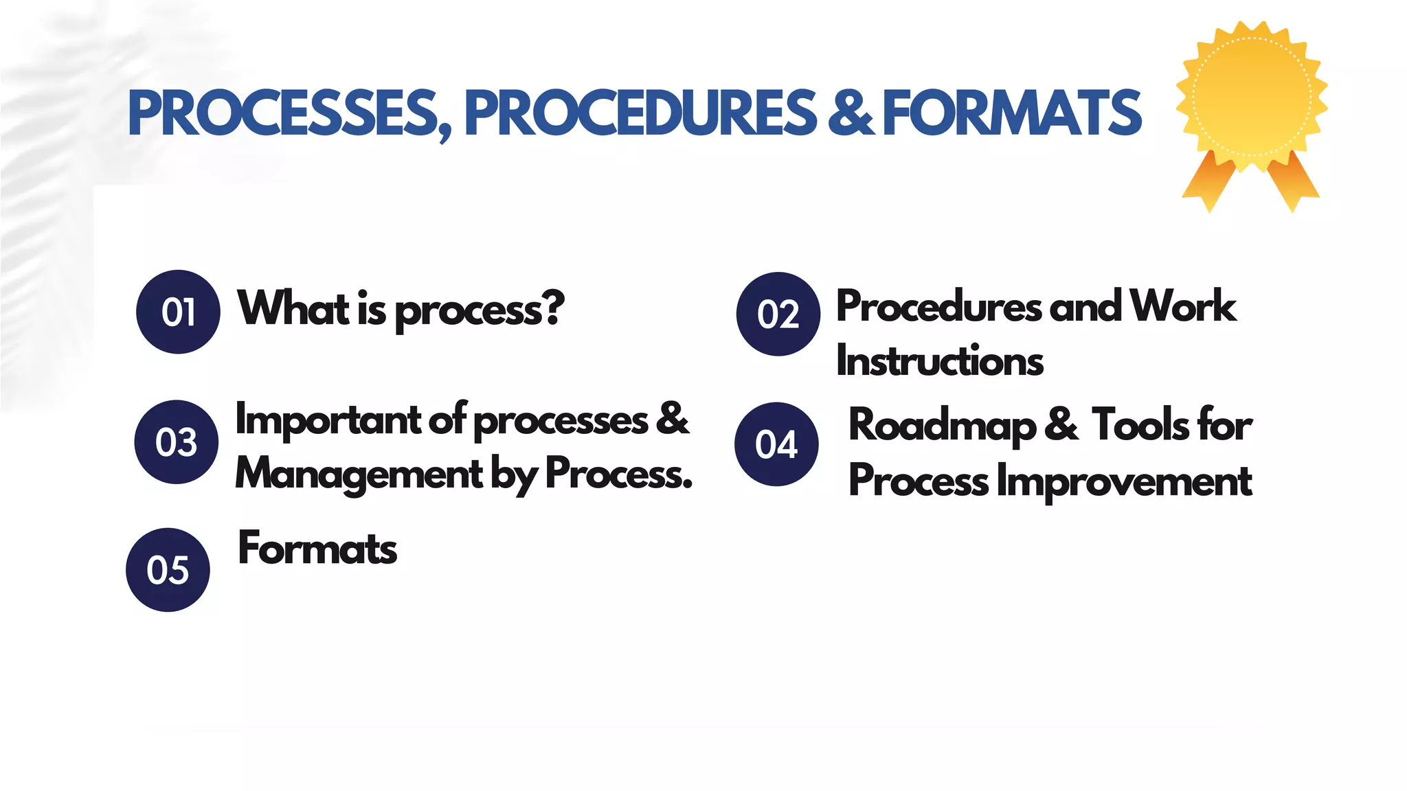 PROCESSES, PROCEDURES and FORMATS.pdf | Free Download