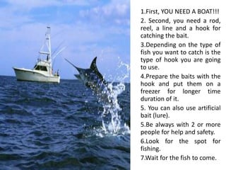 Process essay | PPTX