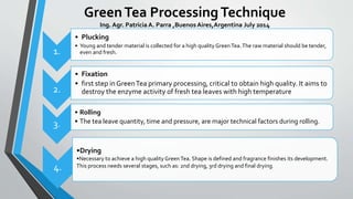 Process flow chart tea processing | PPTX