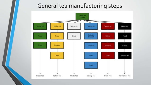 Process flow chart tea processing | PPTX | Home Appliances | Home & Garden