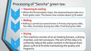 Process flow chart tea processing | PPTX
