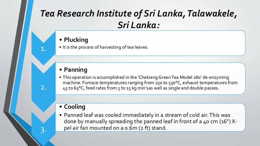 Process flow chart tea processing