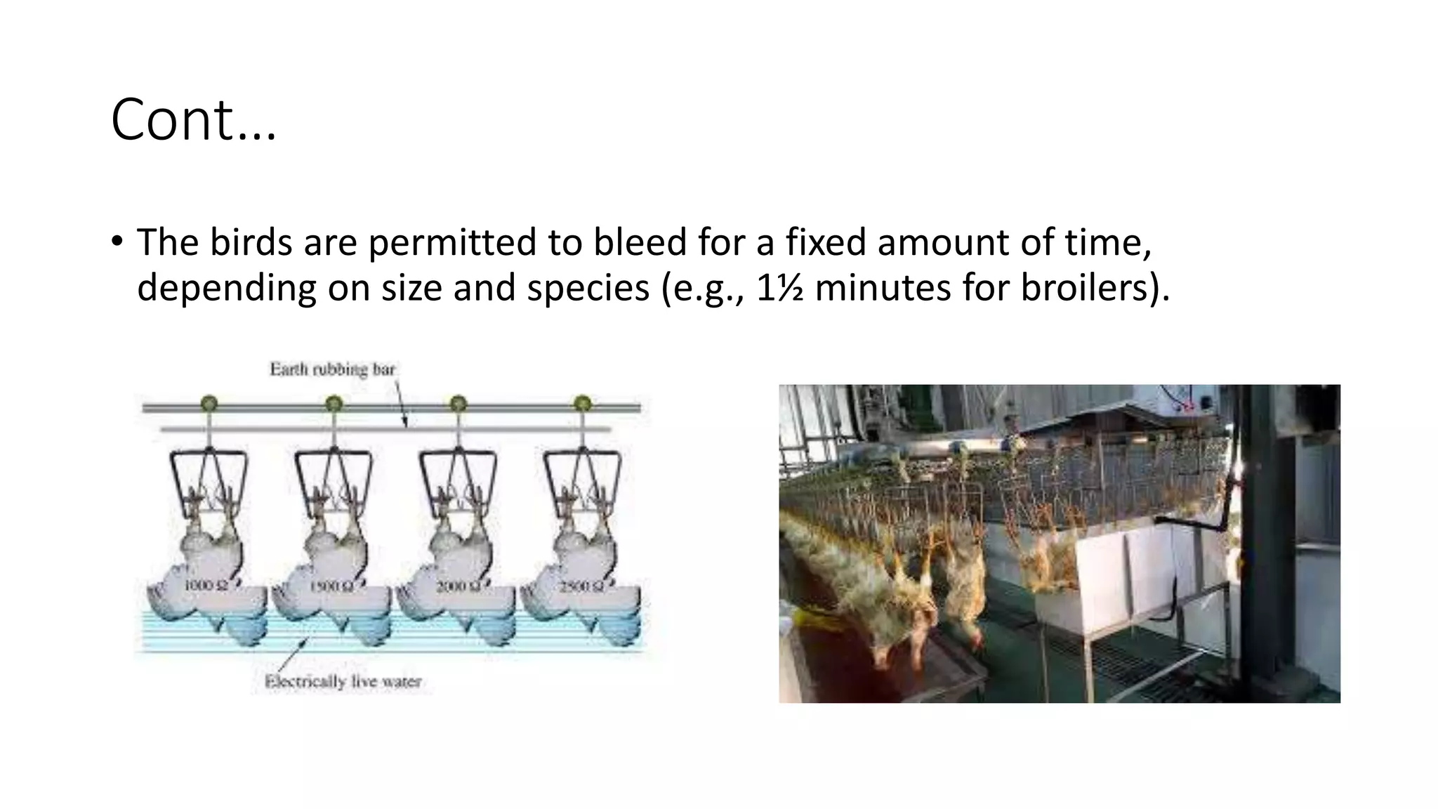 Process flow of poultry processing | PPTX