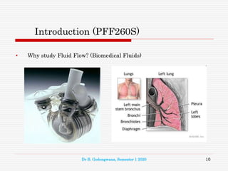 Process Fluid Flow (Slide show 1).pptx