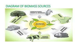 Process for biomass conversion | PPTX