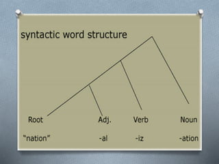Processing of Written Language | PPT