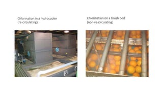 Chemical treatment - Disinfestation of food commodity | PPTX